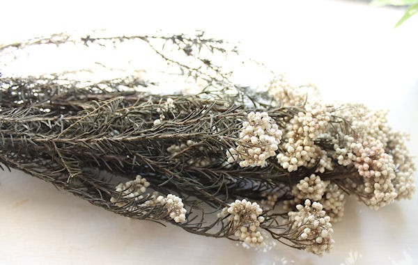 Preserved white rice flower