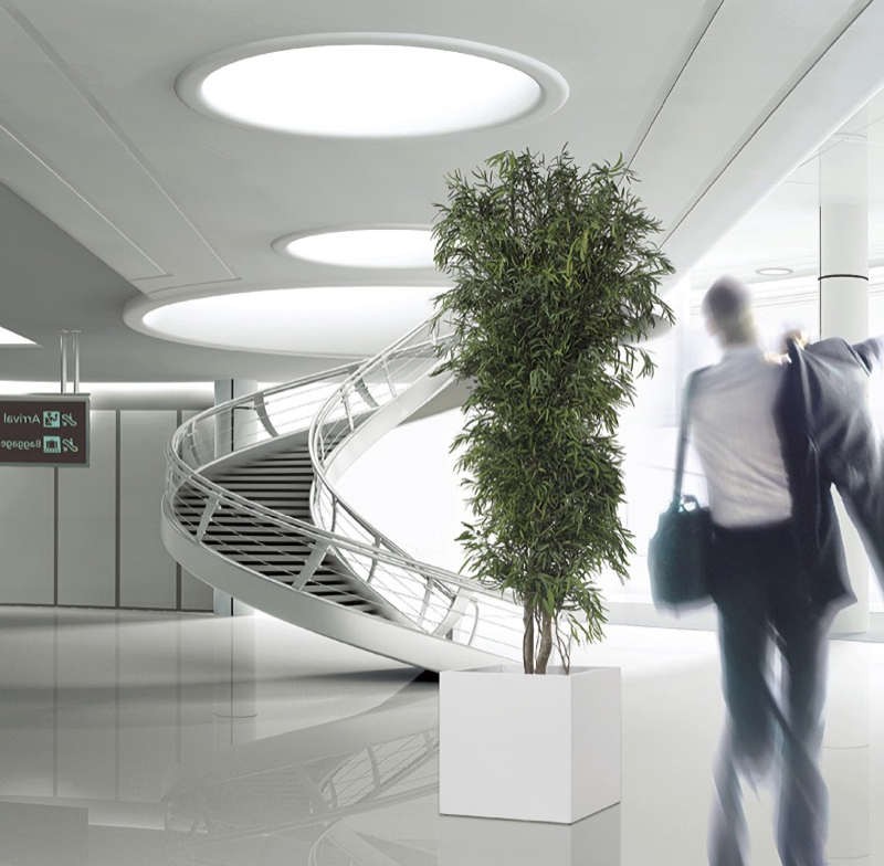 Nicoly, slim - Verdi Preserved