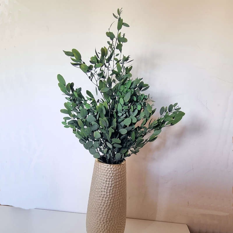 Gunny Green - Verdi Preserved