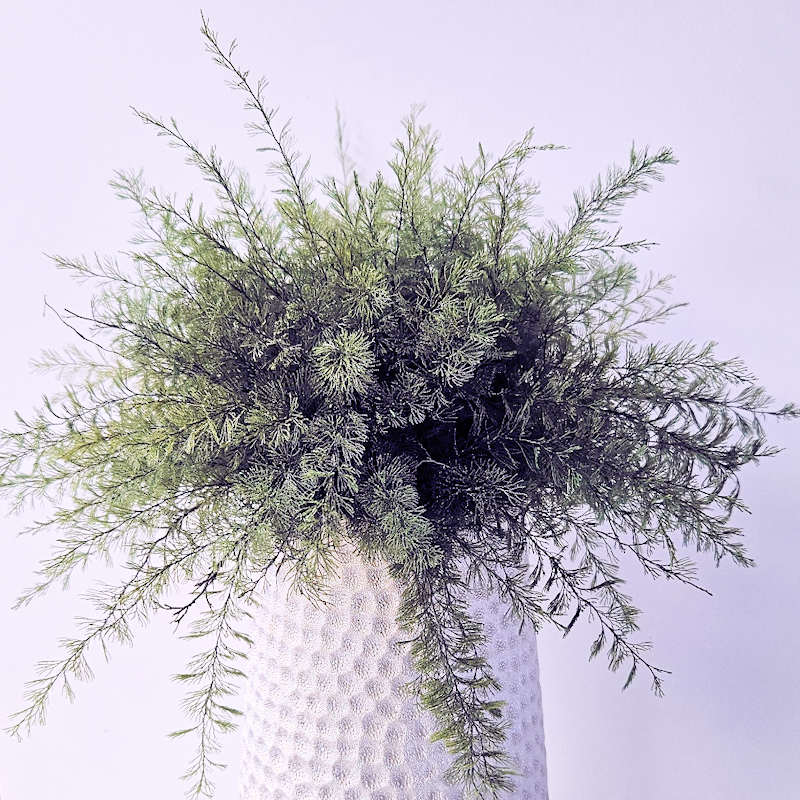 Air Fern, dark green - Verdi Preserved