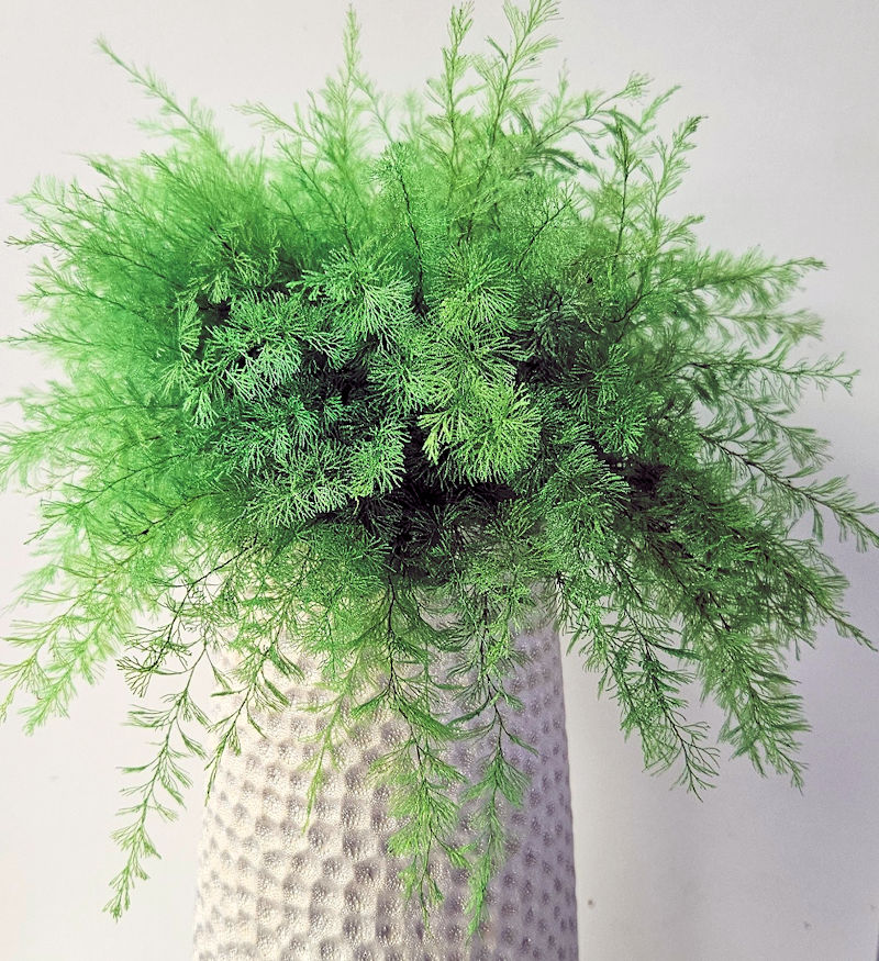 Air Fern, light green - Verdi Preserved